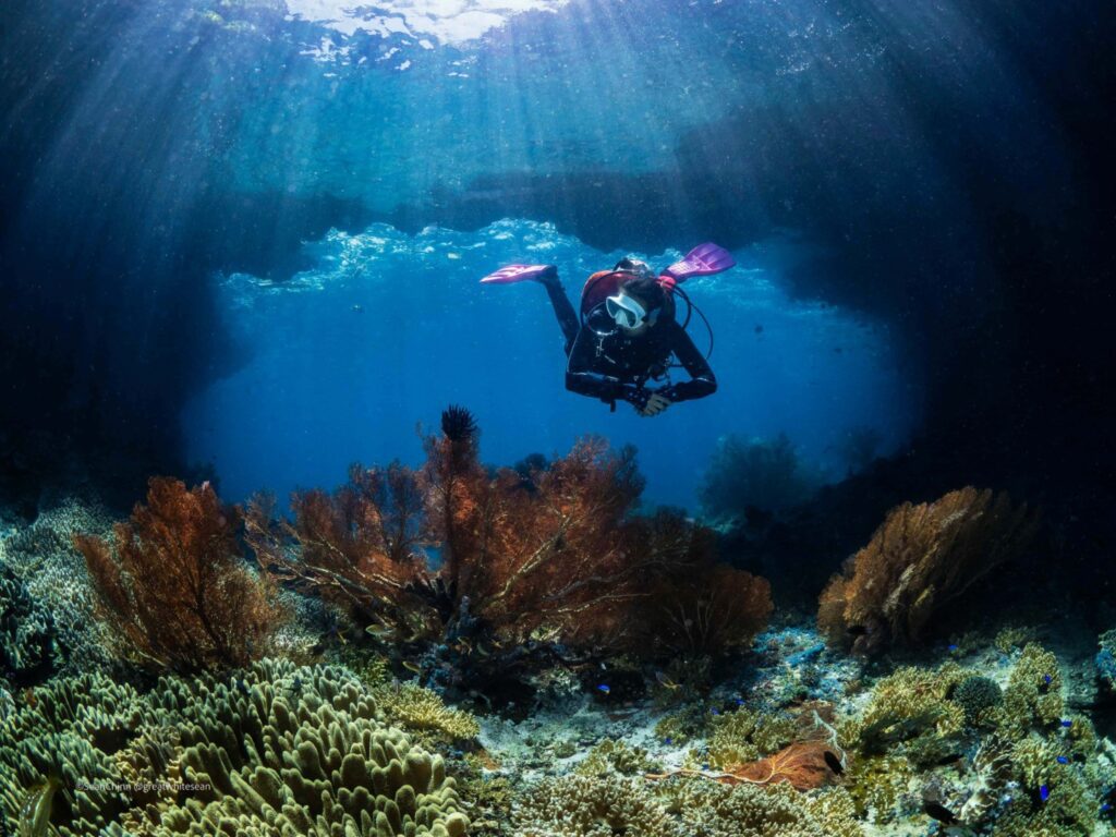 Everything You Need to Know Before Booking a Trip to Raja Ampat