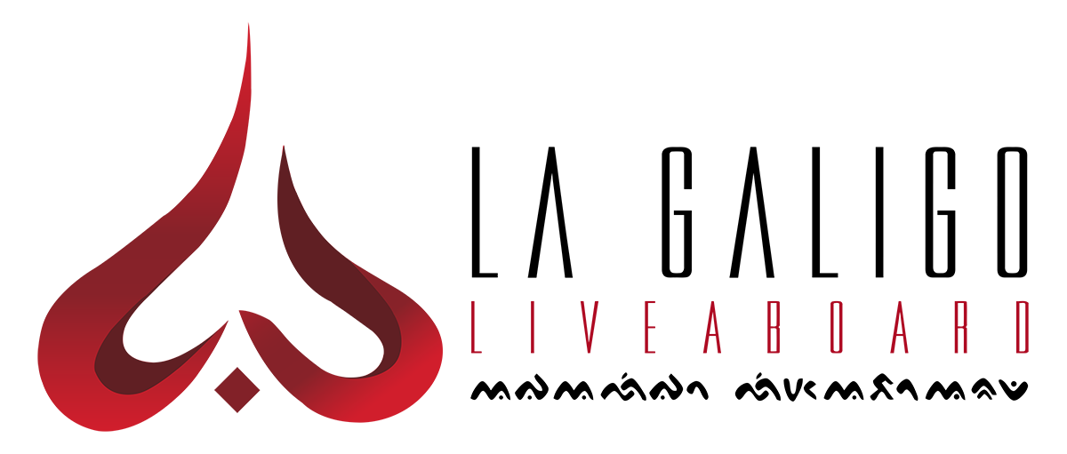 Diving Liveaboard Destinations in Indonesia - La Galigo