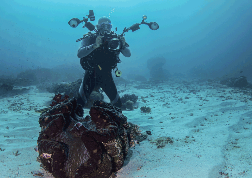 What is Muck Diving? Best Muck Diving in Indonesia - La Galigo