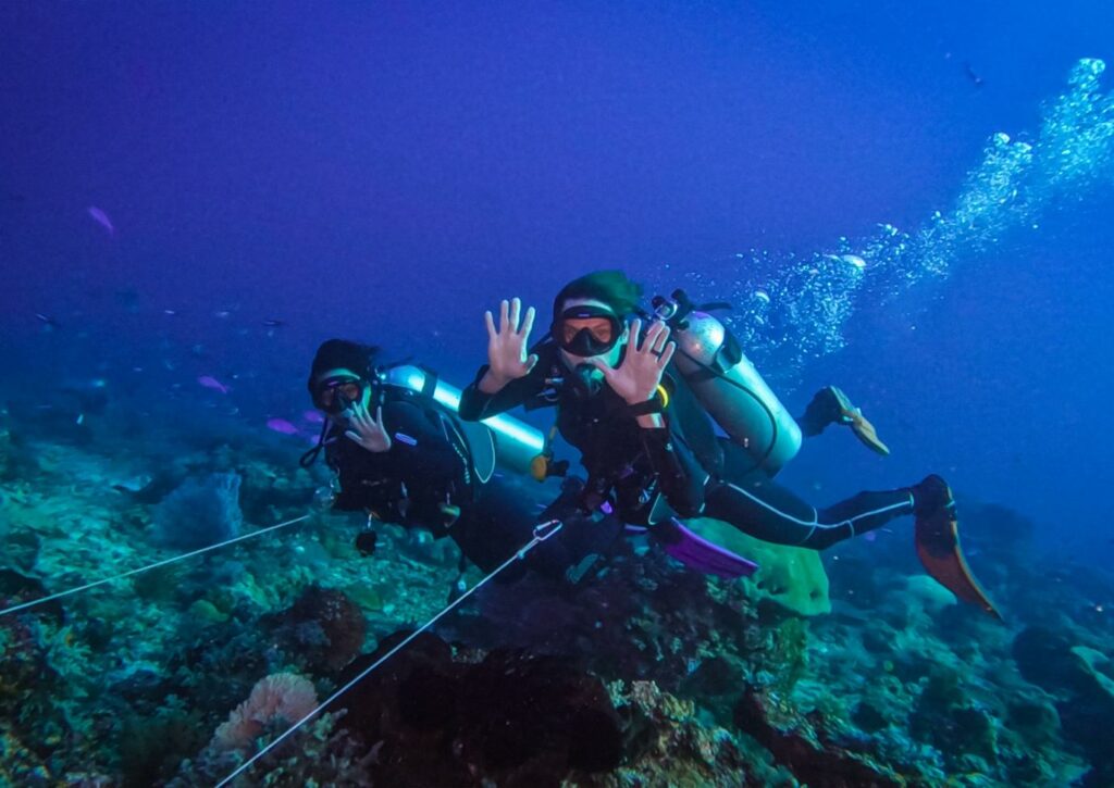 Is Komodo Island a Good Place to Scuba Dive? - La Galigo