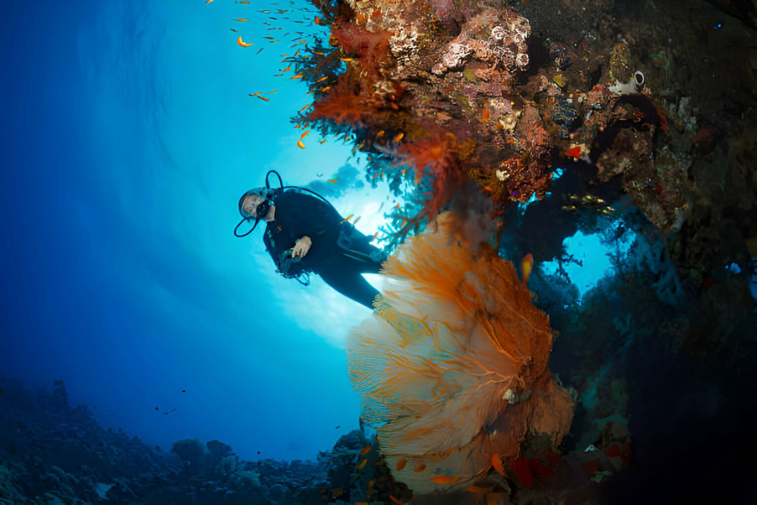 Ear Equalisation Basics for Divers: Why and How? - La Galigo