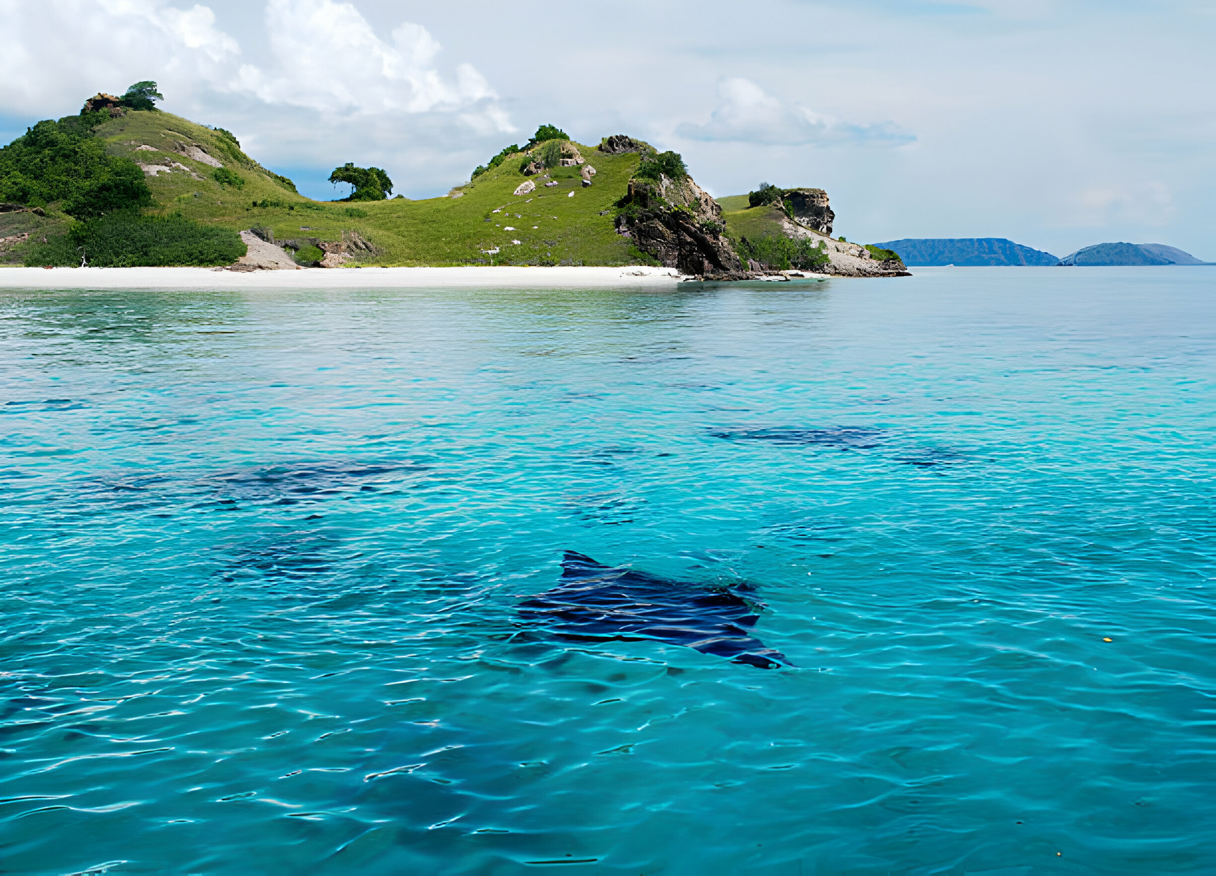 9 Species to Spot While Diving in Komodo Island