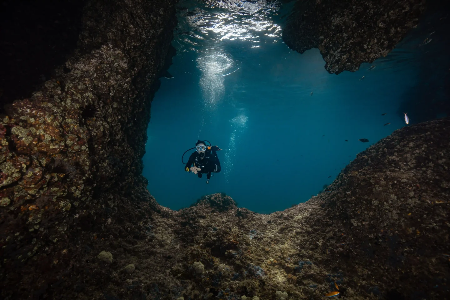 Boo Windows Dive Site, Raja Ampat – La Galigo