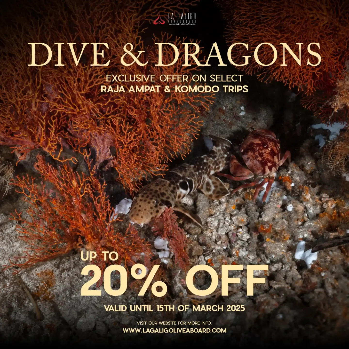 Komodo Dragon: Facts, Habitat & Conservation – La Galigo