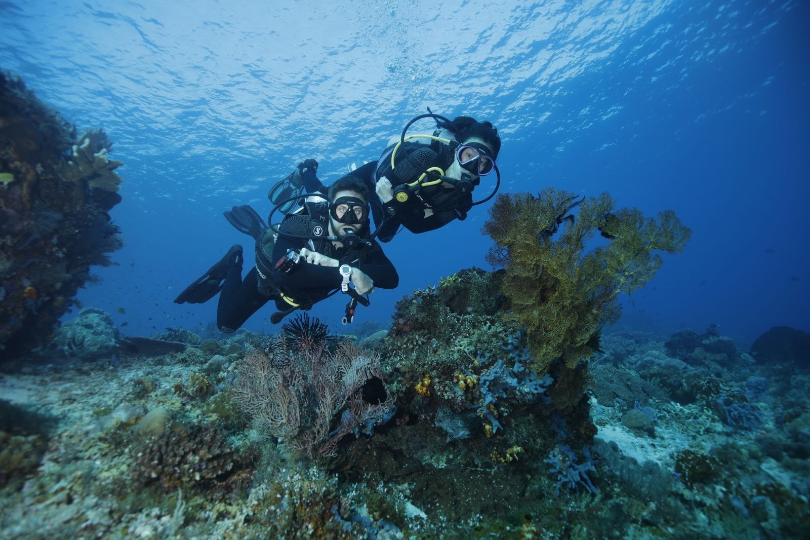 Diving Insurance on Liveaboards: Protecting Your Trip, Your Health, and ...